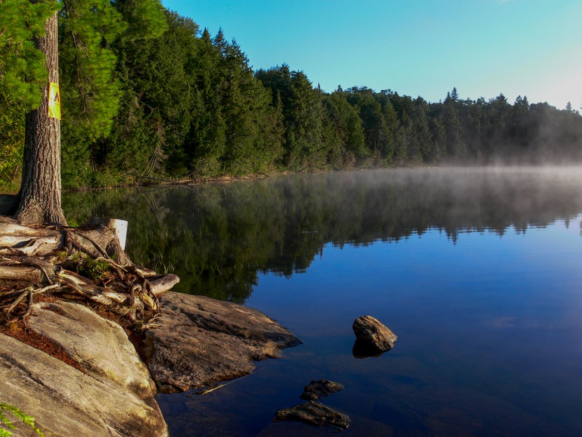 2010 - Canisbay Lake - Newmaker Notes